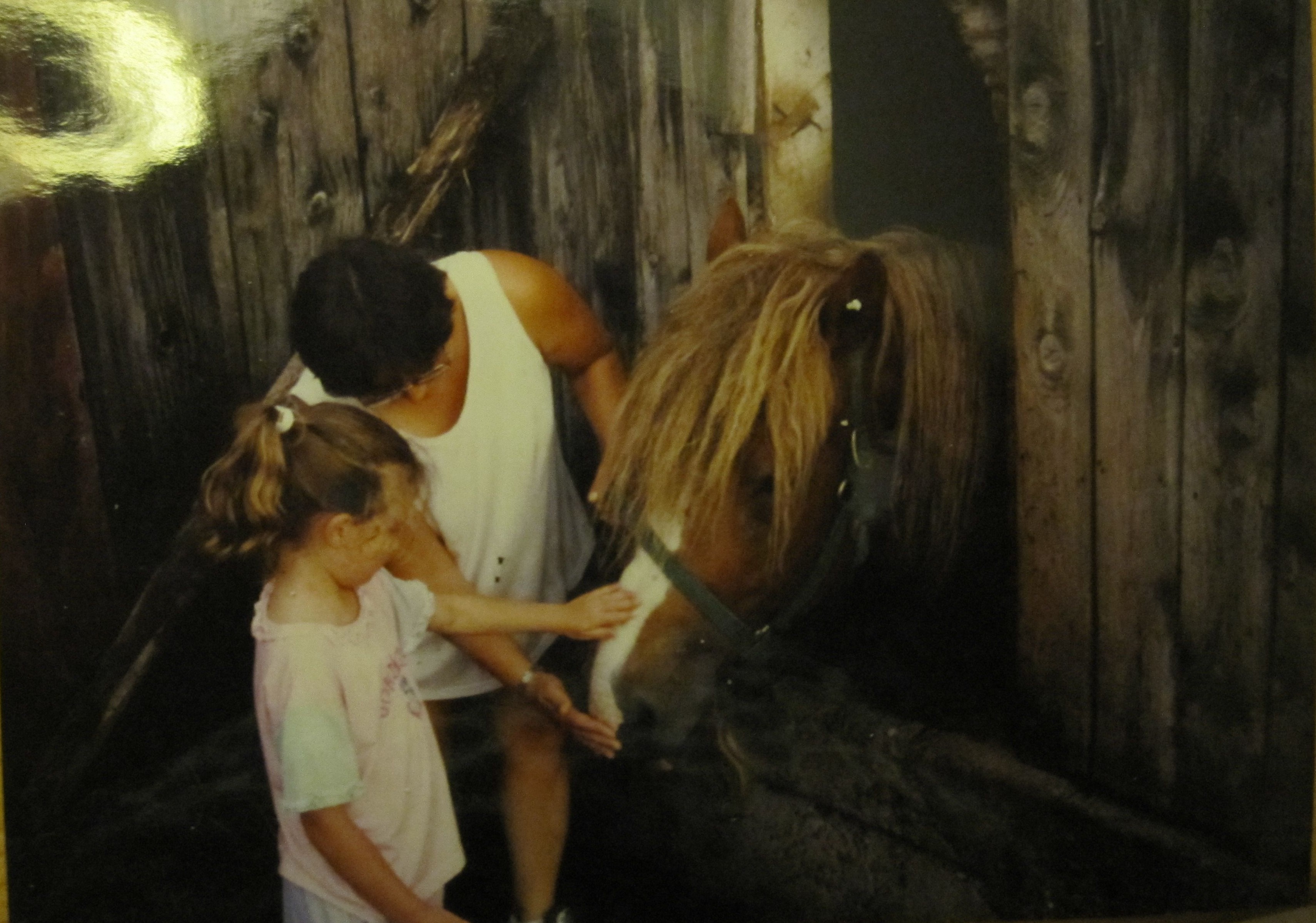 kristen farm - Books: A true story